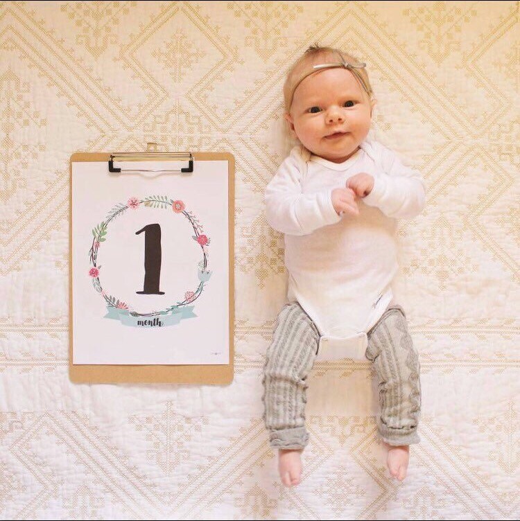Monthly Baby Girl Printable Sign Baby Milestones Print | Etsy