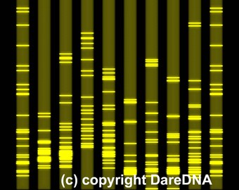 Custom DNA Art for Human Dog & Cat by DareDNA on Etsy