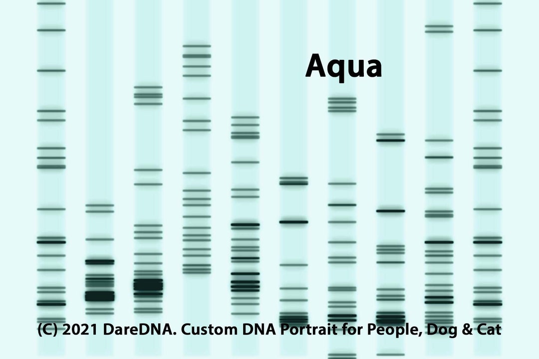 Science-inspired DNA Artwork for Your Home Genetics Modern - Etsy