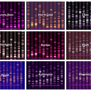 Artistry Meets Genetics: Custom DNA Art for Your Home Decor ...