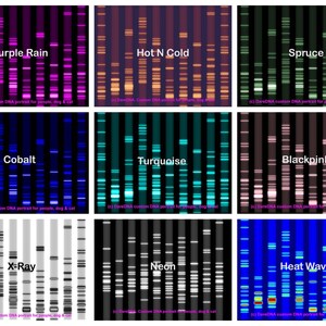 Custom DNA Art: Personalized Genetic Masterpiece - Beach Ocean Metal ...