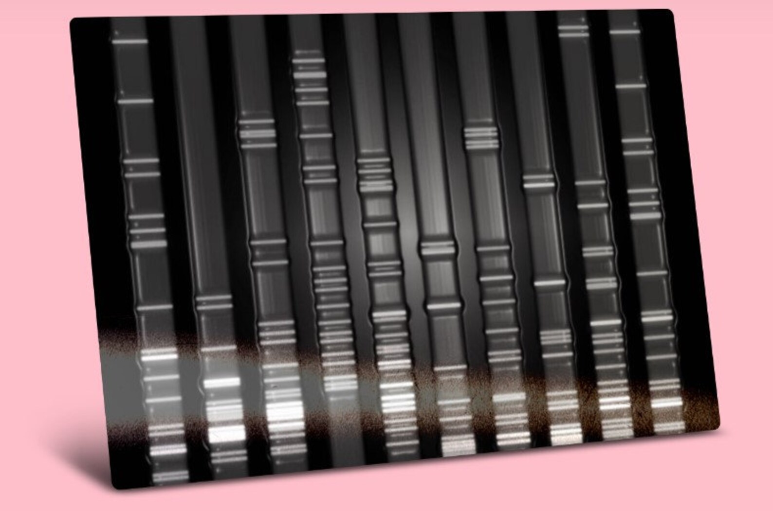 Custom DNA Art of Your DNA Painting PCR Gel Electrophoresis - Etsy