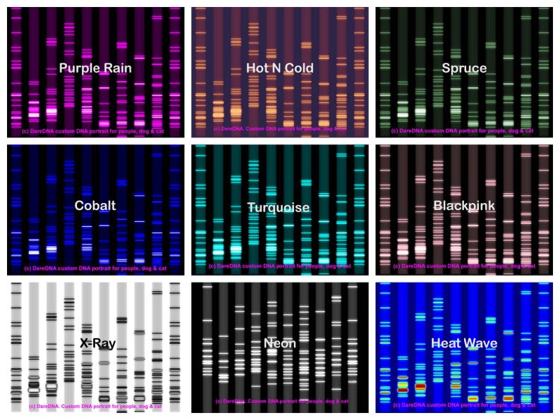 Unique DNA Portraits: Your Genetic Story on Canvas - Black White Print ...