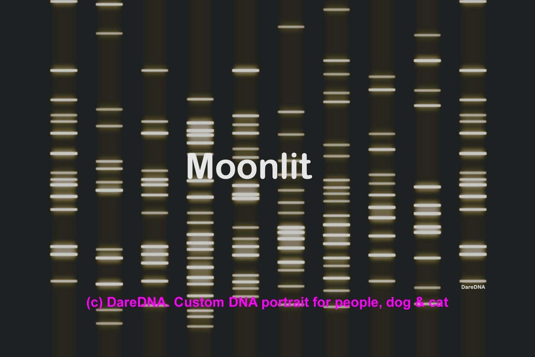 DNA Art Prints: A Window Into Your DNA Code, Golden Custom Science ...
