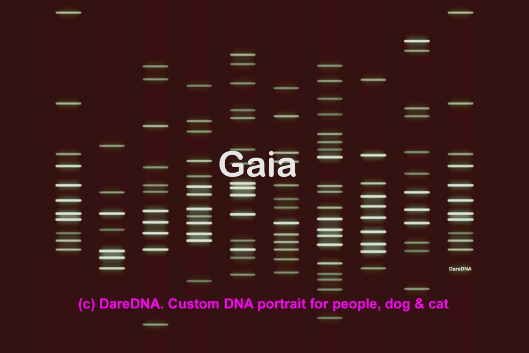 Custom DNA Portrait for People, Dogs, and Cats - A Special Family ...