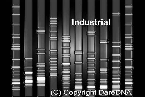 Custom DNA Art of Your DNA Painting PCR Gel Electrophoresis | Etsy