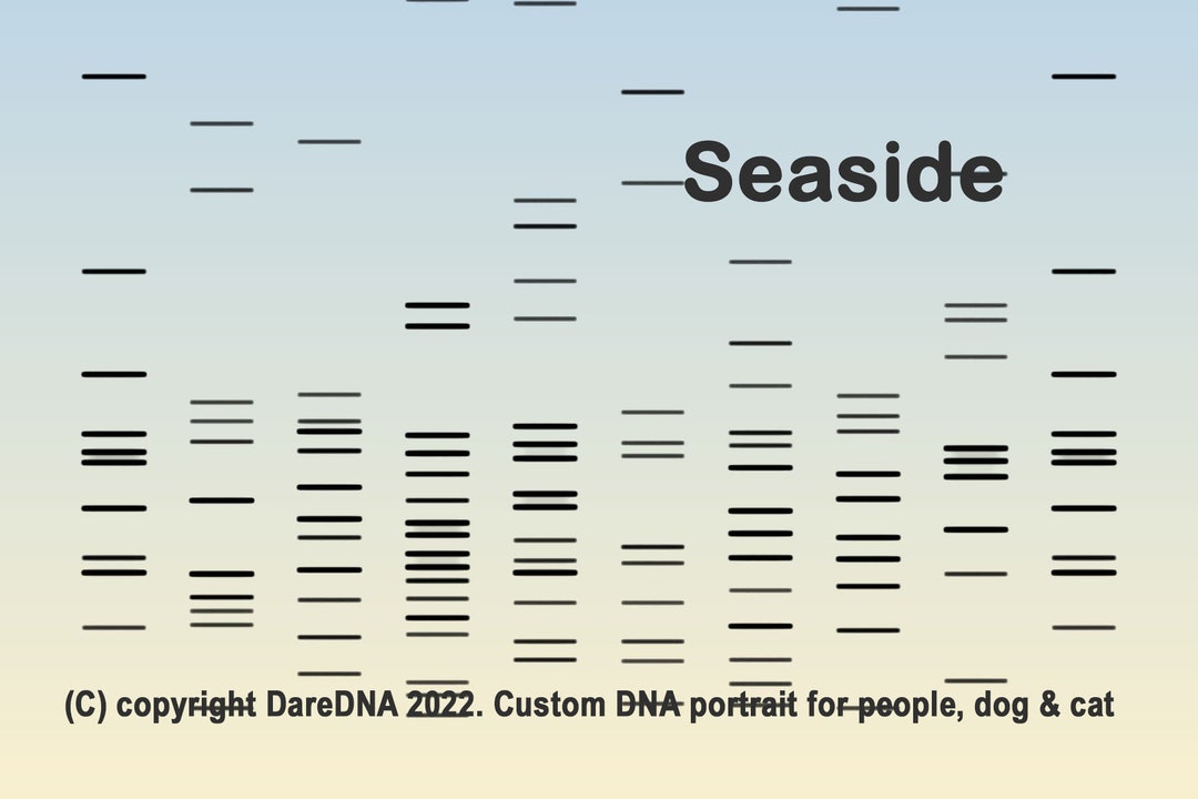 Custom DNA Art: Personalized Genetic Masterpiece Beach Ocean - Etsy