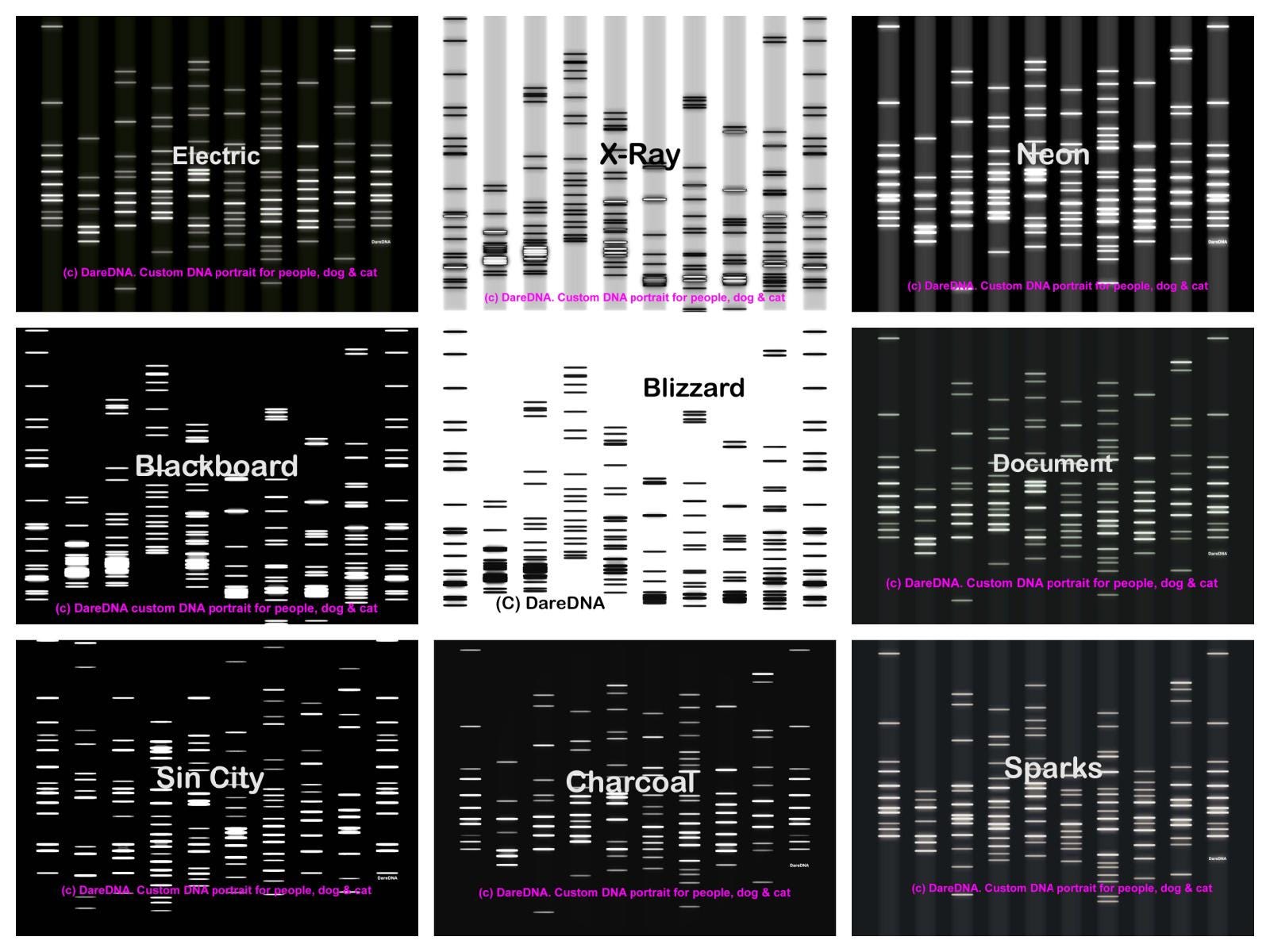 Unique DNA Portraits: Your Genetic Story on Canvas - Black White Print ...