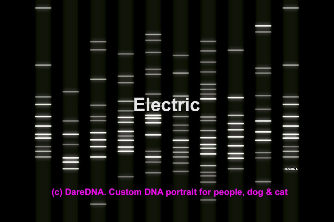 Custom DNA Art of Your DNA - Painting PCR Gel Electrophoresis - Canvas ...