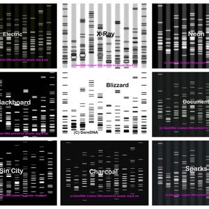 DNA Wall Art: Your Genetic Identity on Display, Genetic Artworks DNA ...