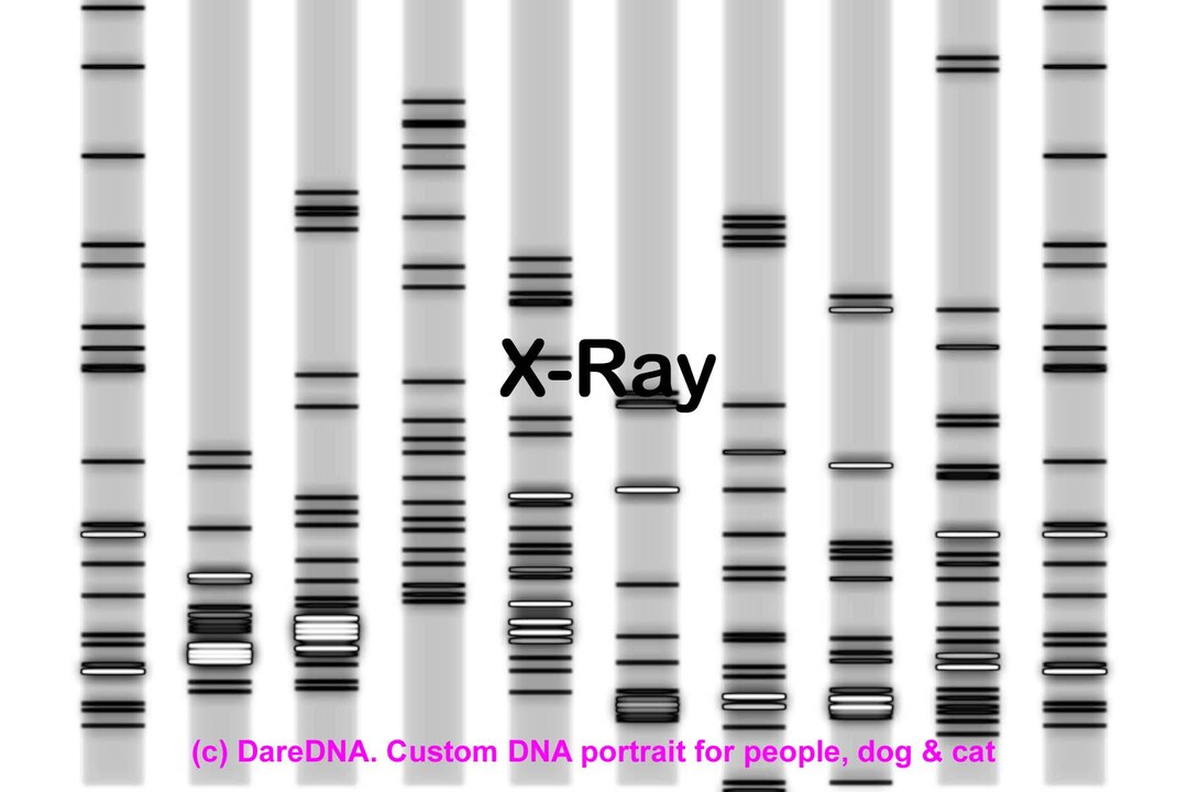 Cherish Your DNA: Custom Artwork for Genetic Enthusiasts - SVG Metal ...