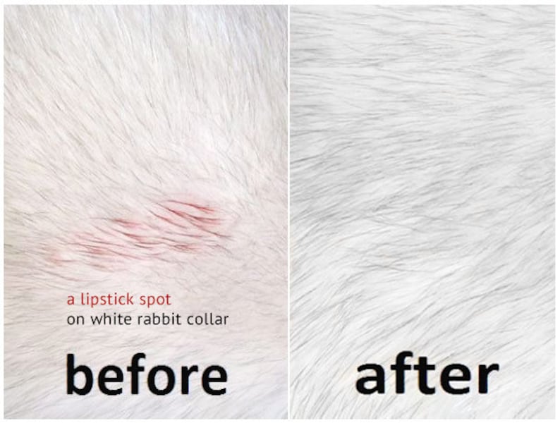 Lana’s Fur Stain Removal Kit - 1oz Instant Stain Cleaning Solution ...