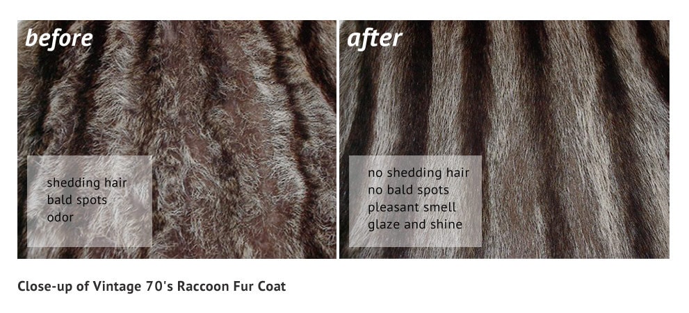 Lana’s Fur Cleaning Kit - 3-in-1 4 Oz Cleaning Solution, Fur Brush ...