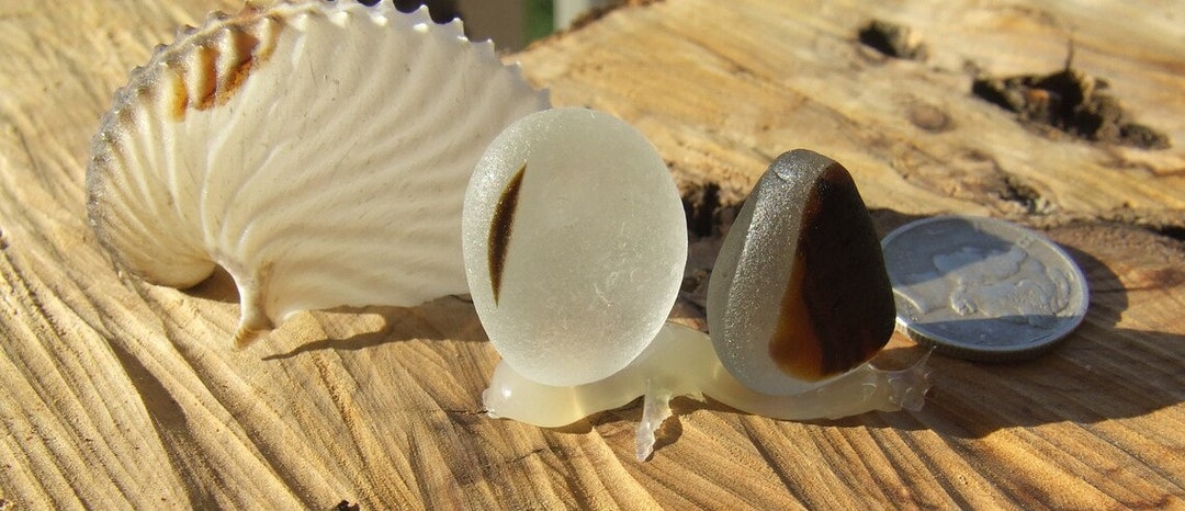 Multi Sea Glass From the Beach. This Unusual Piece is Flawless ...
