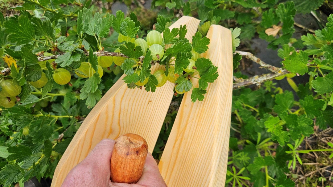Full PDF Plans for Making A Gooseberry Harvesting Scoop - Etsy