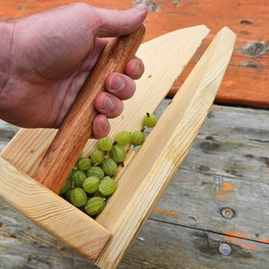 Gooseberry Harvesting Scoop - Etsy UK