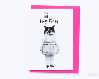 Cat greeting cards | Etsy
