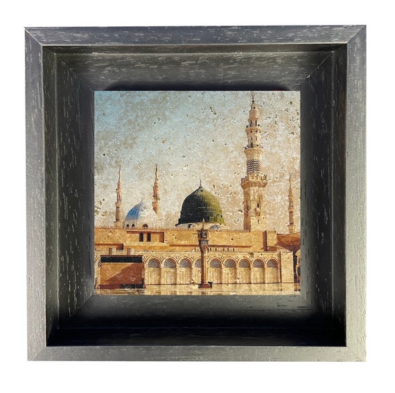 Mad Prophet Mass Effect 2