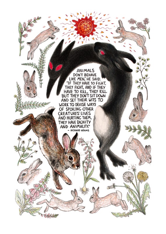 Black Rabbit Watership Down signed Art Print - Etsy