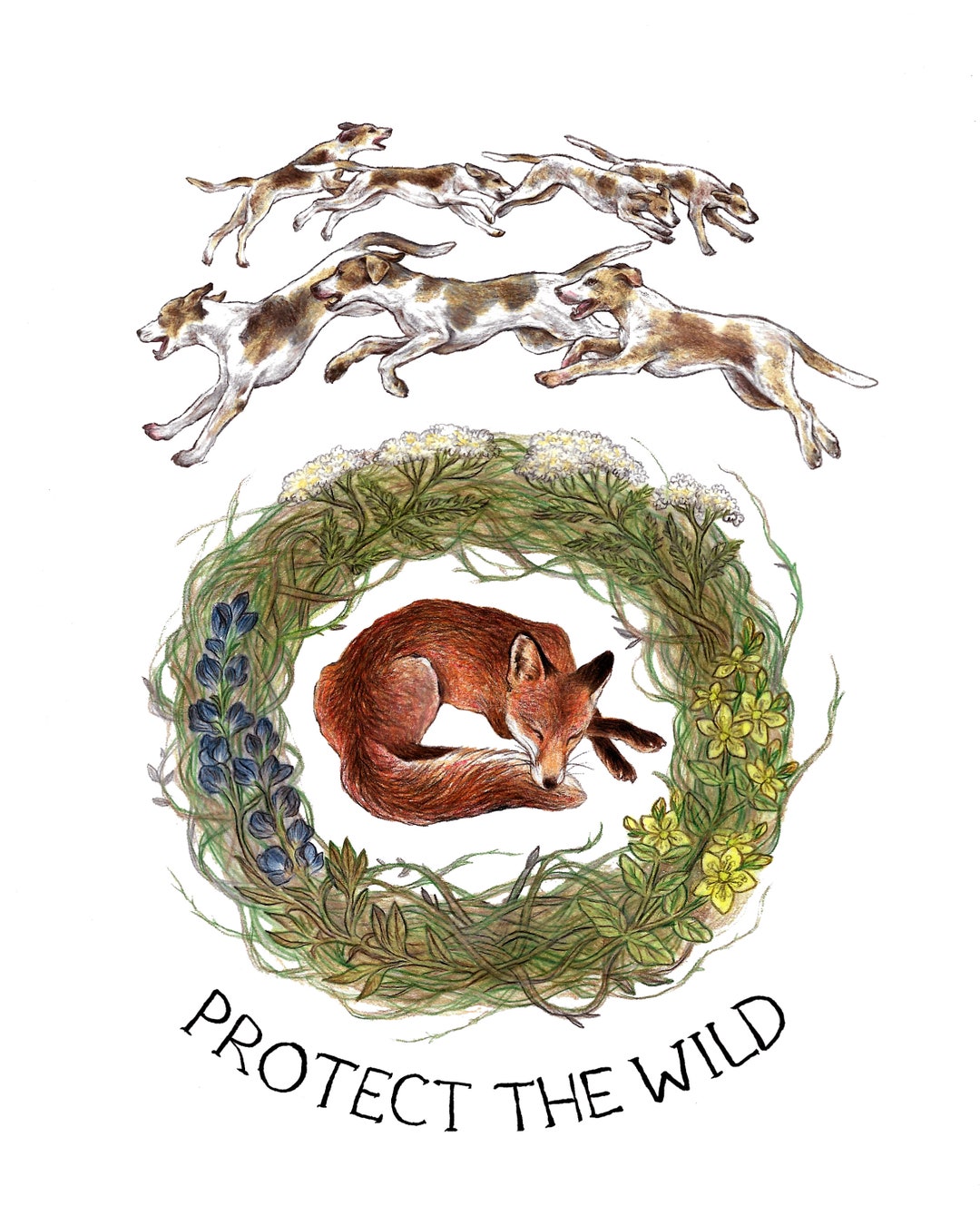 Protect the Wild (signed Art Print) - Etsy