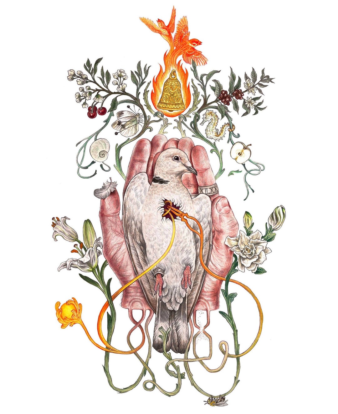 Joanna Newsom - Sawdust & Diamonds (signed Art Print) - Etsy