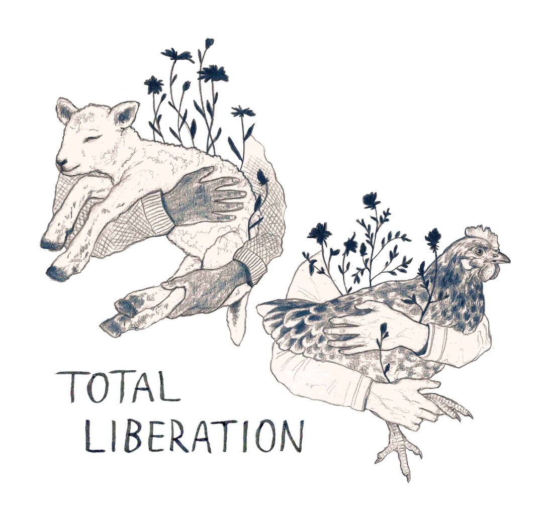 Total Liberation (signed Art Print) - Etsy