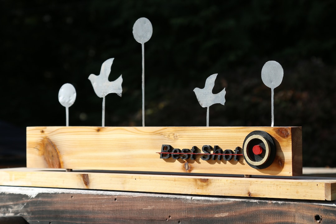 Steel Target, Target Practice, Steel Magnetic Targets, Beautiful ...