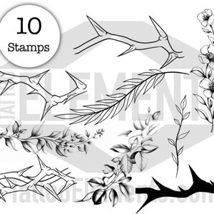 Vines and Thorns Vol. 2 | Procreate Stamp and Brush Set - Etsy