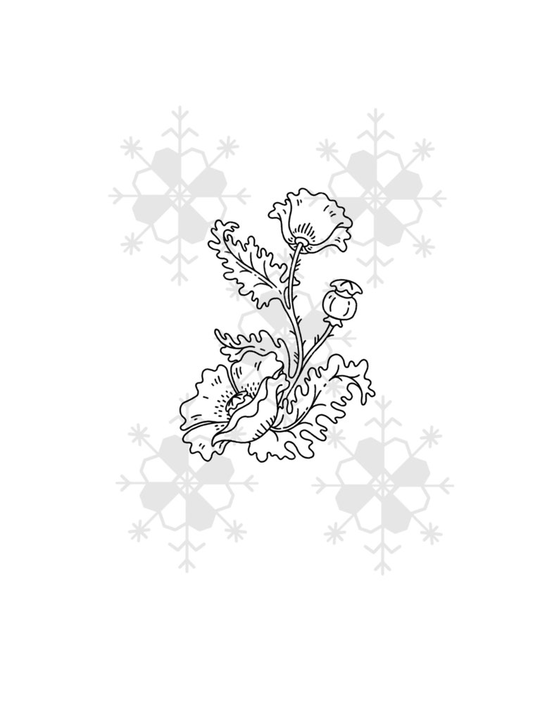 Poppy - Tattoo Flash - Etsy