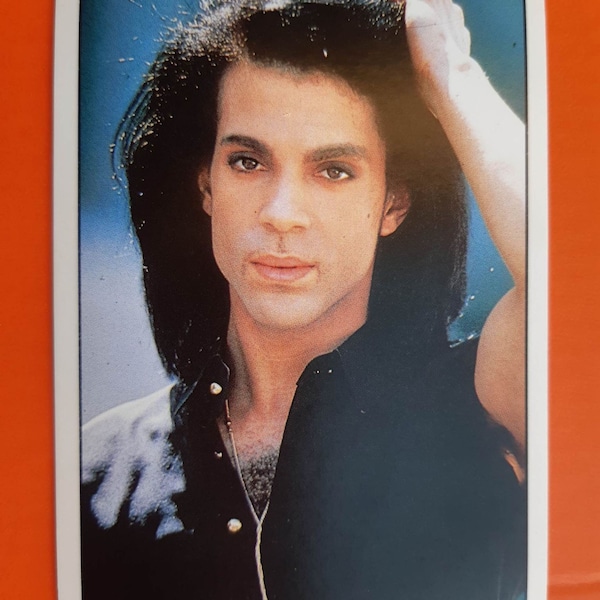 Prince Panini Sticker - Etsy