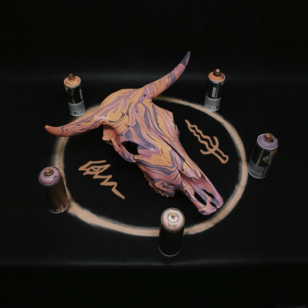 Bull Skull Decoration Wall Decoration Real Bull Head Antler Horn Horn ...