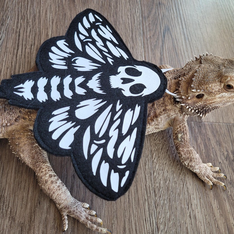 Moth Costume - Etsy