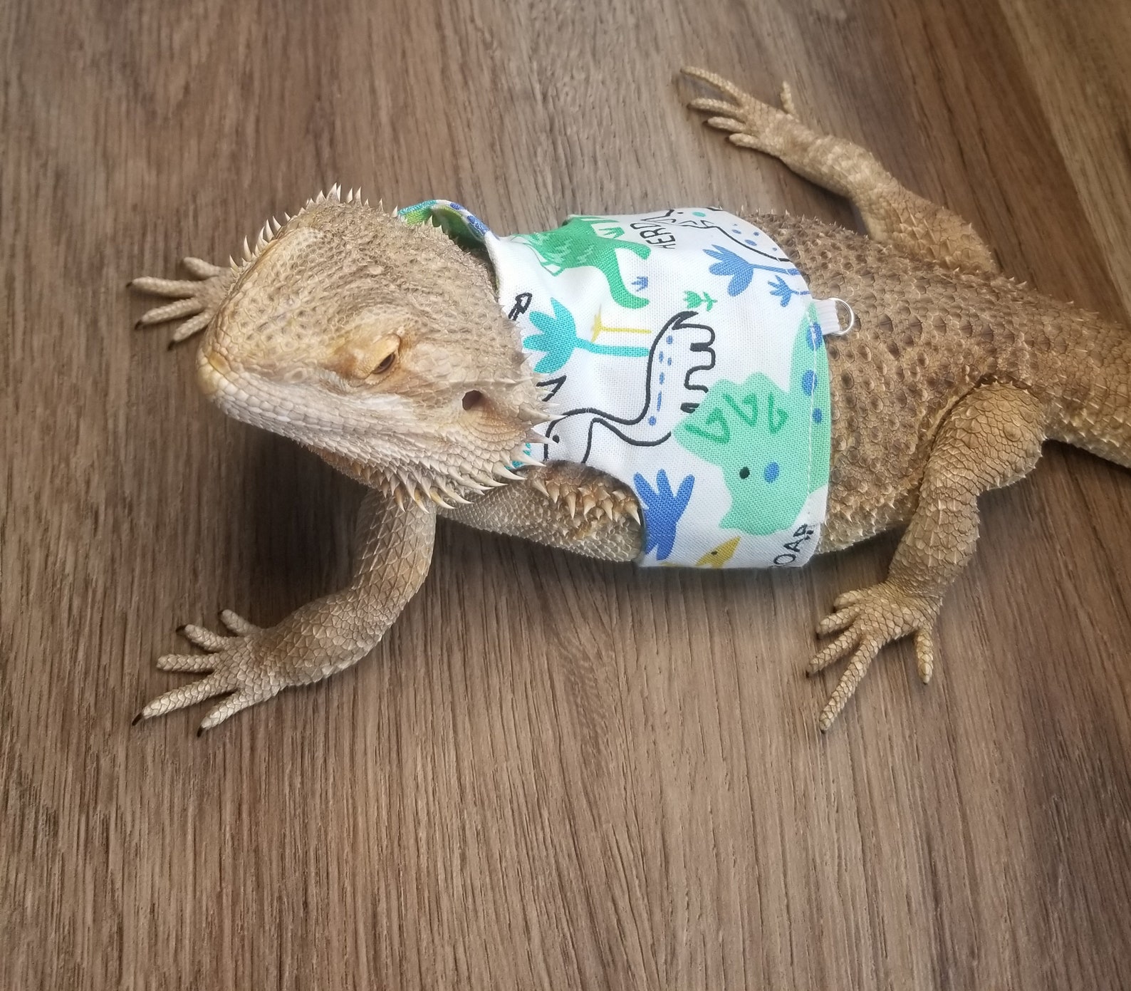 Bearded Dragon Harness and Leash Set, Adjustable Lizard Accessories - Etsy