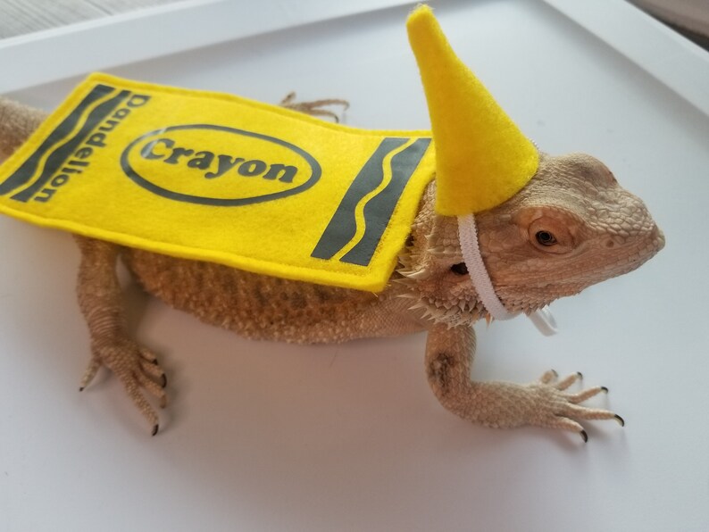 Halloween Costume Crayon Costume Crayon Hat Halloween - Etsy