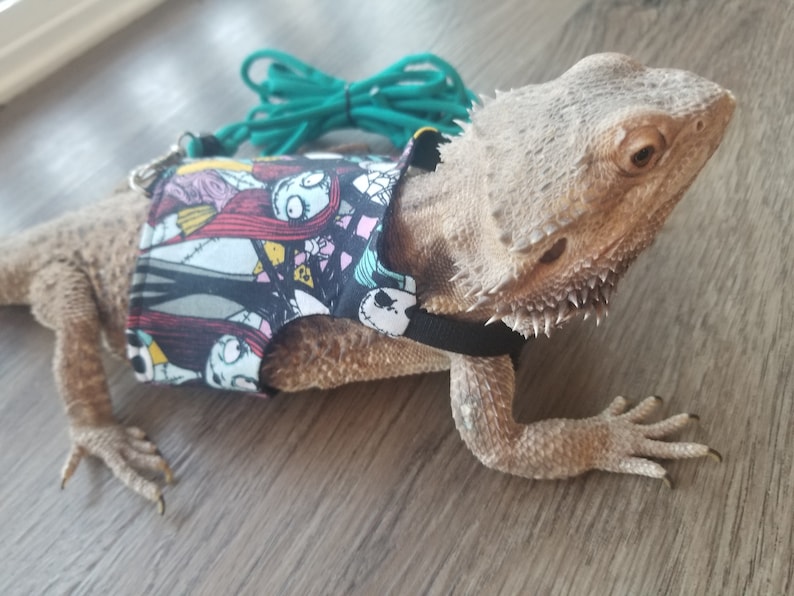 Bearded Dragon Sling or Harness - Etsy