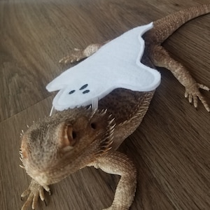 Bearded Dragon Ghost Costume - Etsy