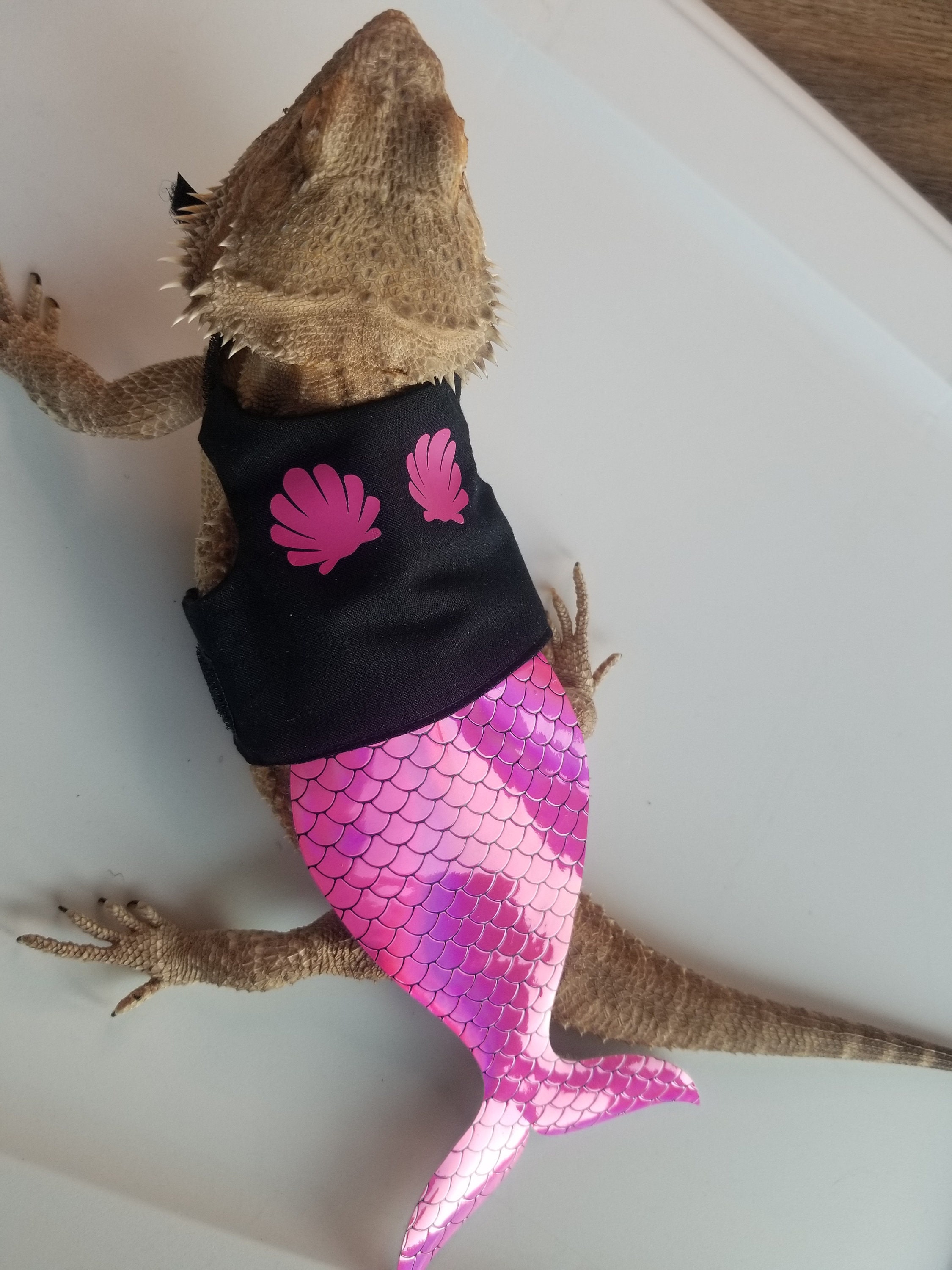 Halloween Costume for a Bearded Dragon Mermaid Costume - Etsy