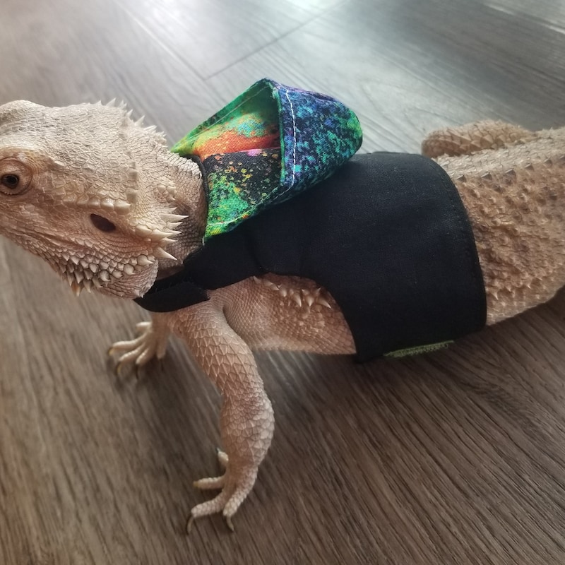 Bearded Dragon Clothes - Etsy
