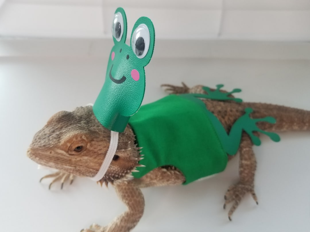 Halloween Costume for a Bearded Dragon, Mermaid Costume, Mermaid Tail ...