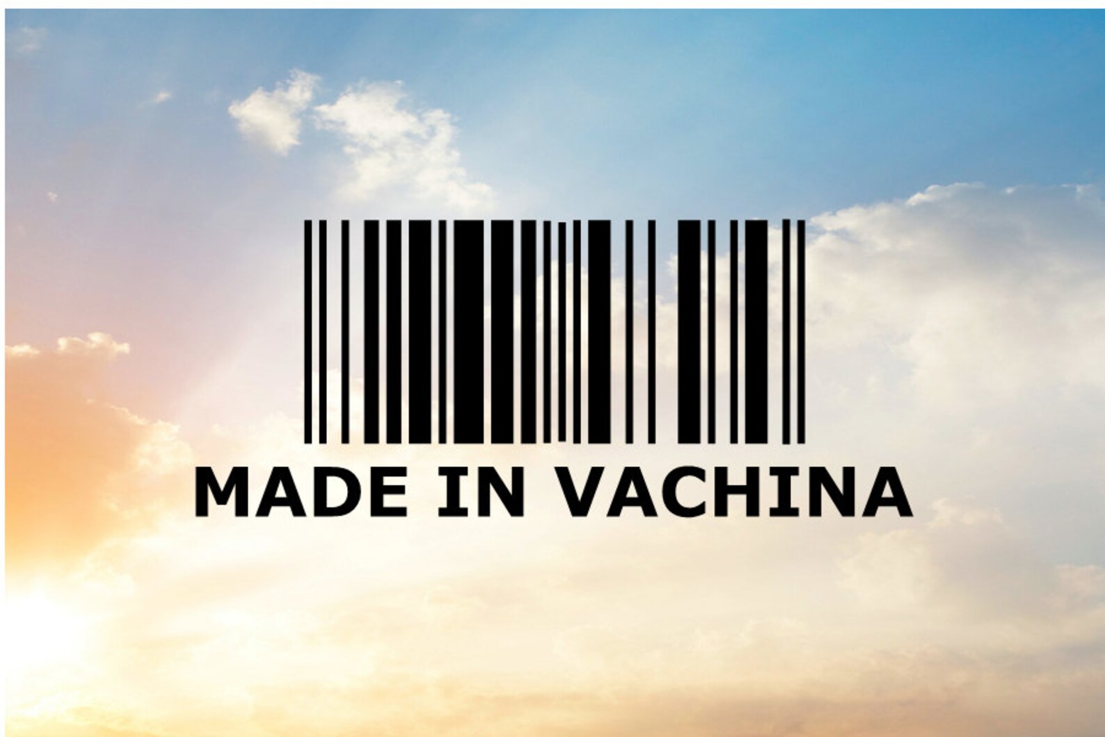 Made in Vachina SVG File for Cutting Machine Baby Shirt Baby | Etsy