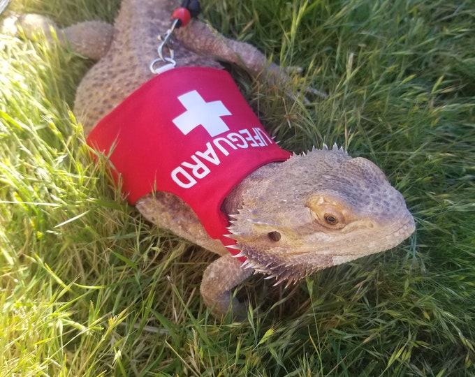 Bearded Dragon Leash, Bearded Dragon Harness, Lizard Leash, Lizard Harness, Bearded Dragon ...