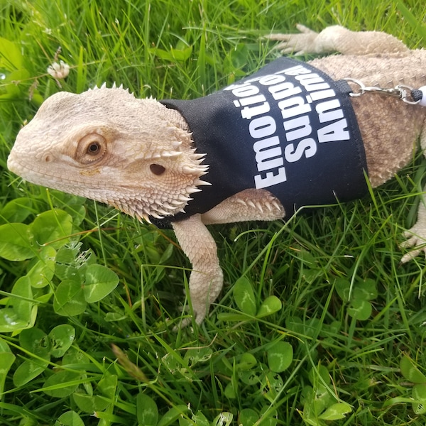 Emotional Support Animal Elsa - Etsy