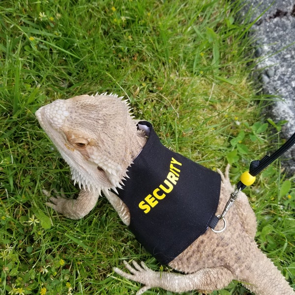 Bearded Dragon - Etsy