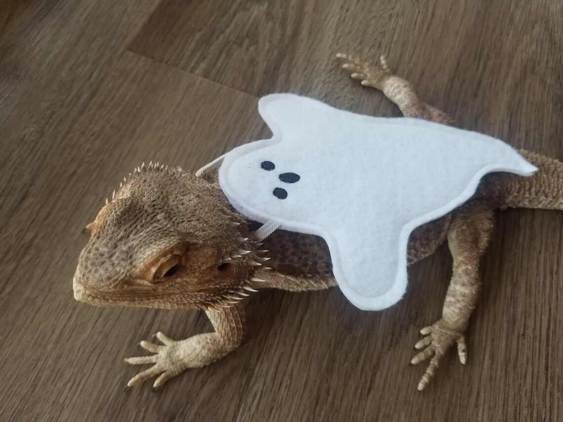Bearded Dragon Ghost Costume, Halloween Costume - Etsy