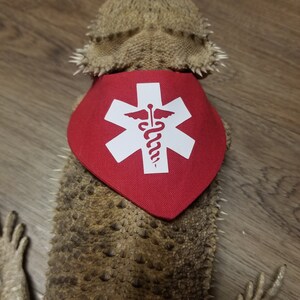 Emotional Support Bearded Dragon Bandana, Lizard Leash Harness - Etsy