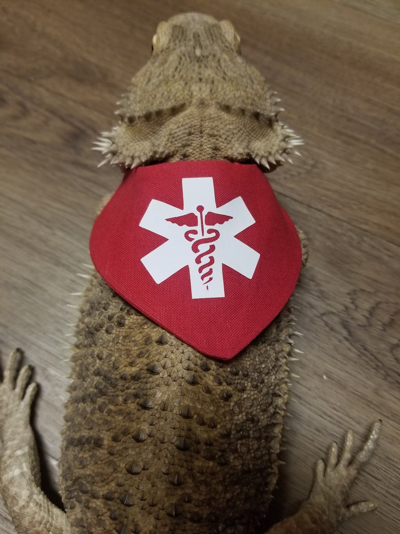 Emotional Support Bearded Dragon Bandana, Lizard Leash Harness - Etsy