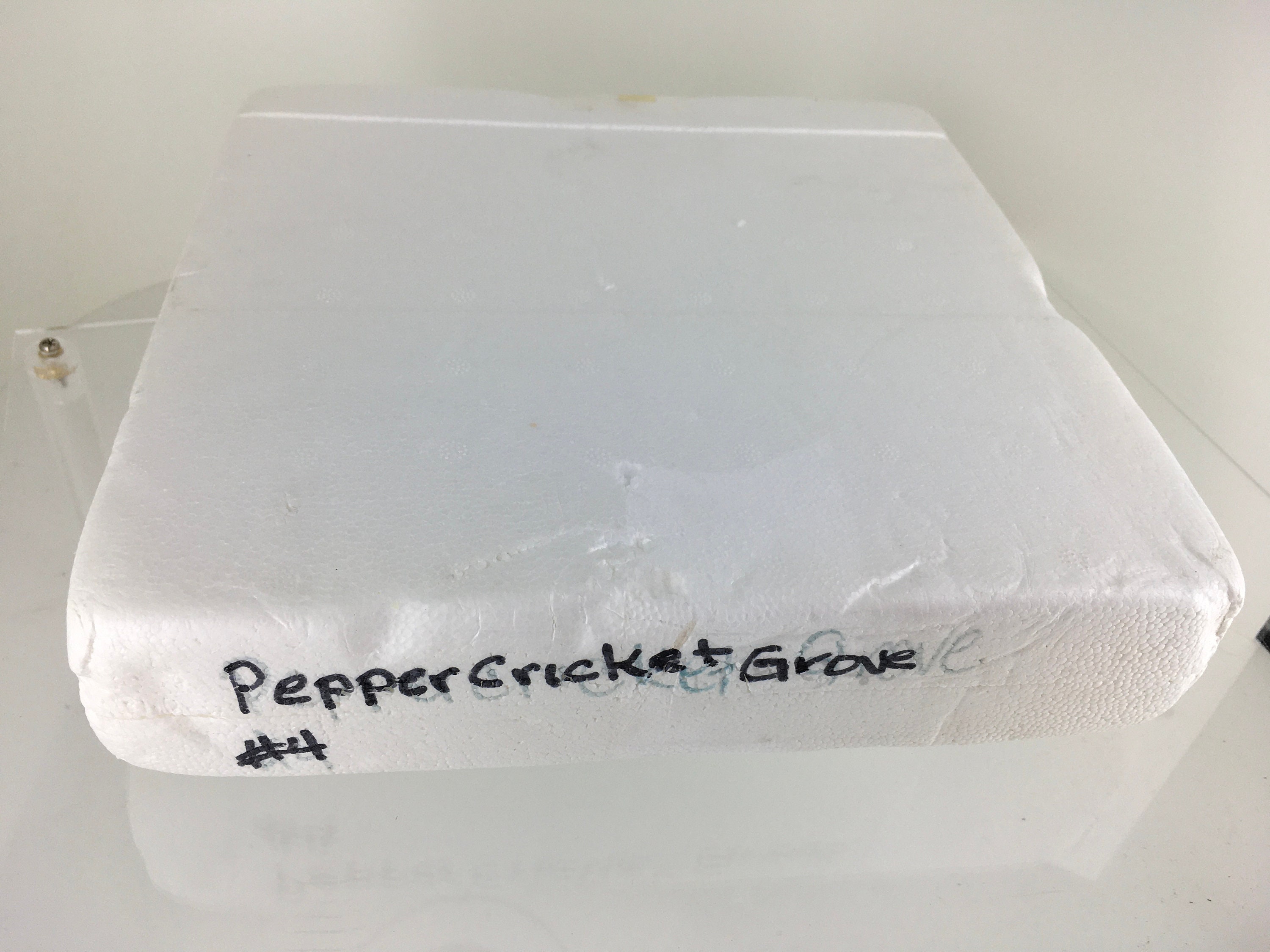 Vintage Budzens Fruits and Vegetables Peppercricket Grove Collector ...