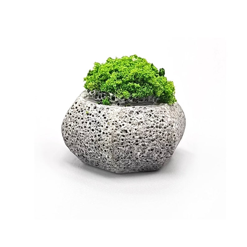 Miniature Planters for Micro Landscapes and Dollhouses - Etsy