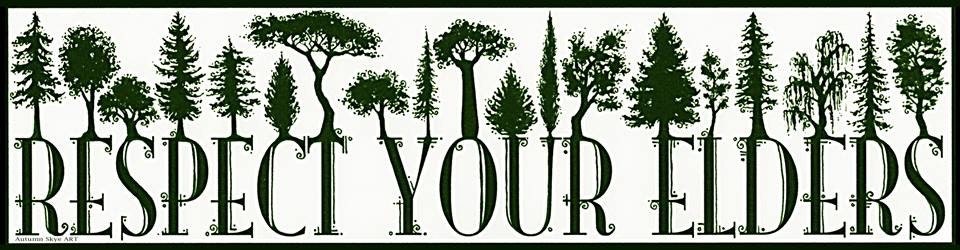 STICKERS 5 Pack respect Your Elders Bumper | Etsy