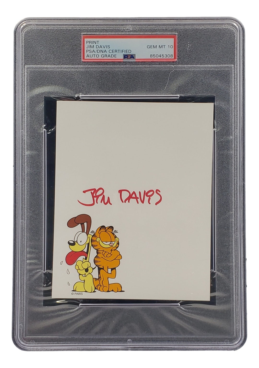 Jim Davis Signed Slabbed 4x6 Garfield Photo PSA/DNA Gem MT 10 - Etsy